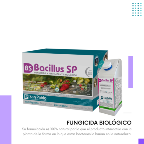 Bacillus.SP | Laboratorio San Pablo